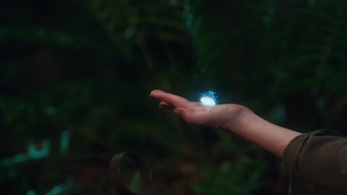 Magic Beans Gallery | Once Upon a Time Wiki | Fandom