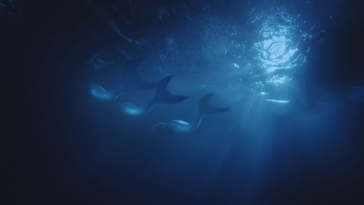 Mermaids Gallery | Once Upon a Time Wiki | Fandom