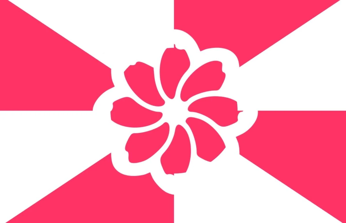 Flag of Ninjago City | Organization of Ninjago City Homeland Scrty Wiki ...