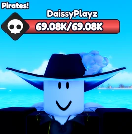 Bounty Hat | ONE FRUIT by DIGITAL SEA Wiki | Fandom