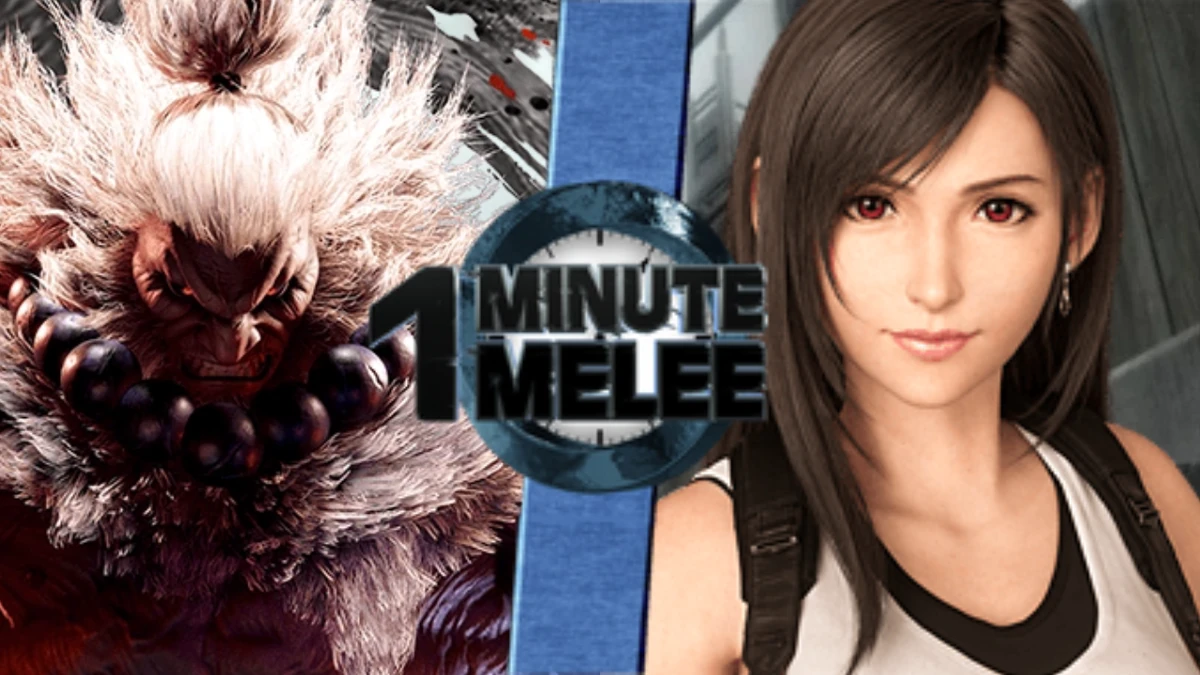 Akuma VS Tifa Lockhart | One Minute Melee Fanon Wiki | Fandom