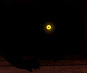 The Beavowl/Gallery | One Night at Flumpty's Wiki | Fandom