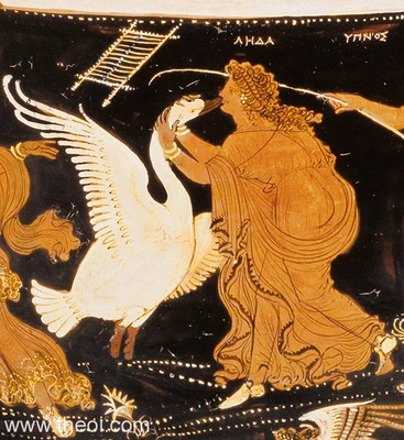 Leda | One Of The Greatest Sources For Greek Mythology Wiki | Fandom