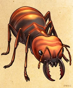 Myrmex Indikos | One Of The Greatest Sources For Greek Mythology Wiki ...
