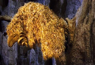 Golden Fleece | One Of The Greatest Sources For Greek Mythology Wiki ...