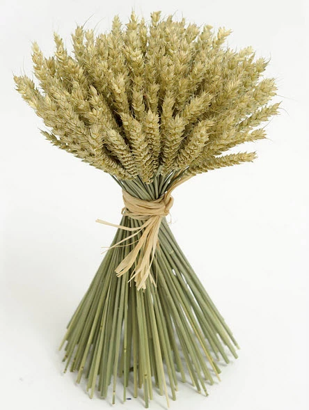 Sheaf of Grain | One Of The Greatest Sources For Greek Mythology Wiki ...