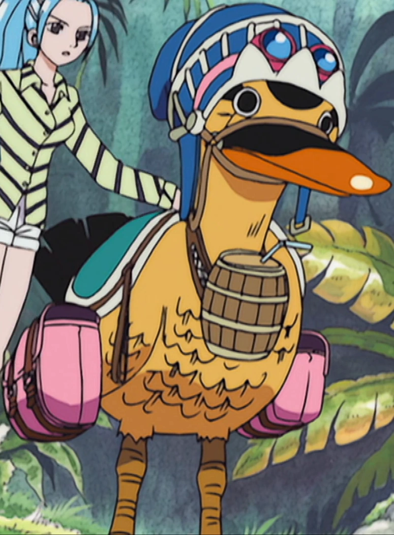 Karoo | One piece dnd Wiki | Fandom