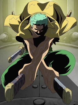 Nitoryu (Grand) | One Piece Fan Wiki | Fandom