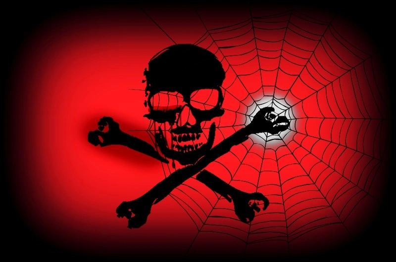 The Red Flag Pirates | One Piece New Era of the Marines Wiki | Fandom