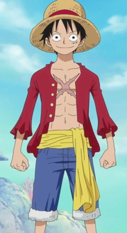 Luffy/Galerie | One Piece Romania Wiki | Fandom