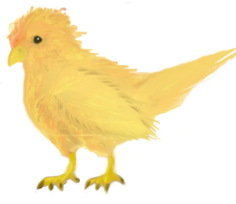 Ember Bird | One Piece RPG Wikia | Fandom