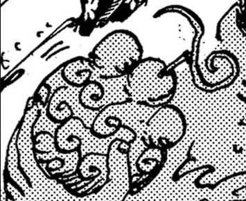 Nikyu Nikyu no Mi | One Piece: Shadows Wiki | Fandom