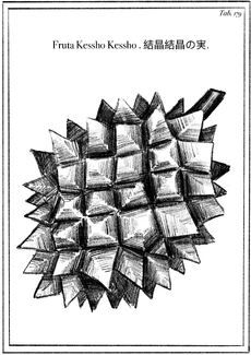 Fruta Kessho Kessho | One Piece Fanon | Fandom