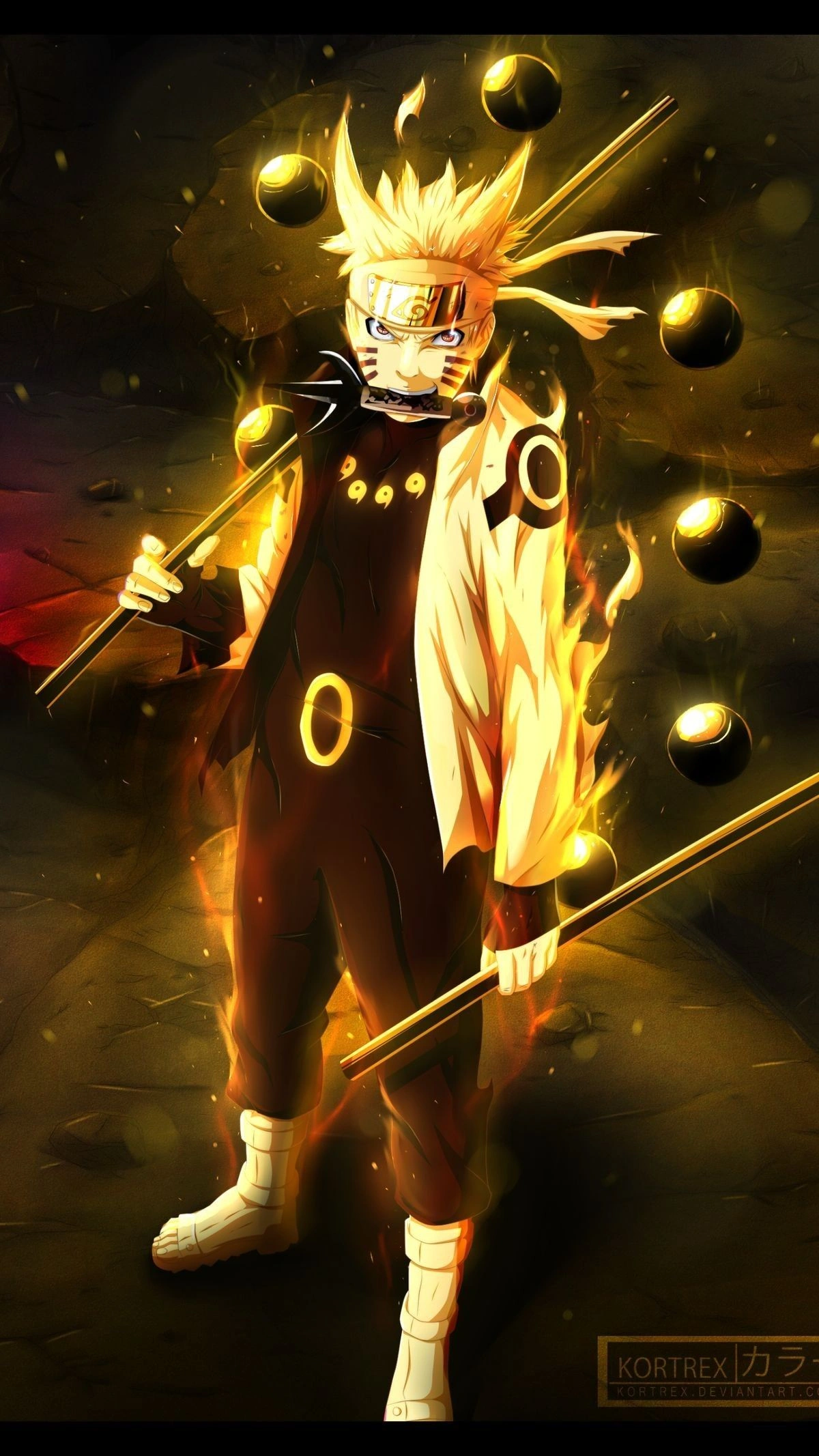 Shishiryu | One Piece Fanon | Fandom