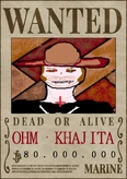 Piratas de Ohm | One Piece Fanon | Fandom