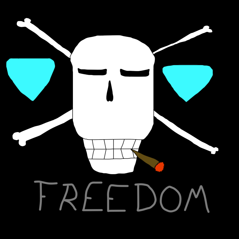 Piratas Diamond | One Piece Fanon | Fandom