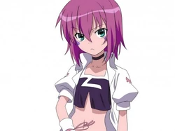 Ani Neko | One Piece Fanon | Fandom