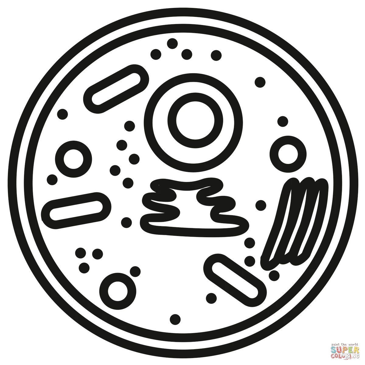 Fruta Saibo Saibo | One Piece Fanon | Fandom