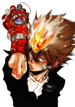 Sora | One Piece Fanon | Fandom