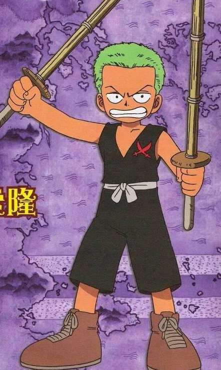 Roronoa Johnny | One Piece Fanon | Fandom