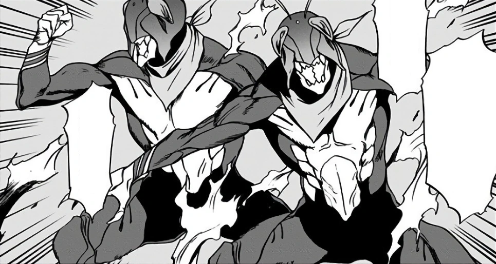 Beetle Bros | Wiki One Piece Wushu | Fandom