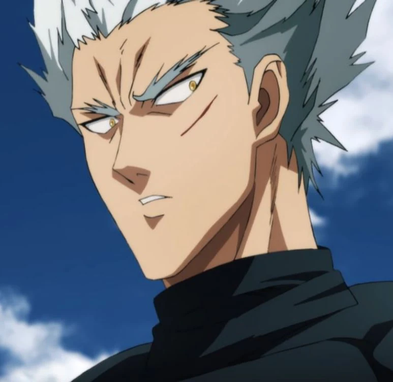 Garou | One Punch Man Wikia | Fandom