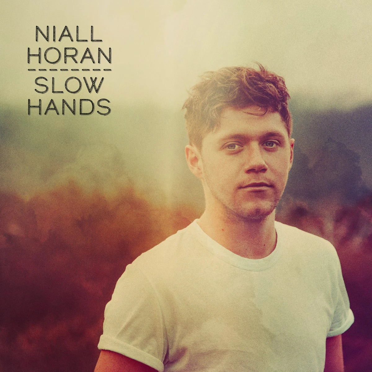 Slow Hands | One Direction Wiki | Fandom