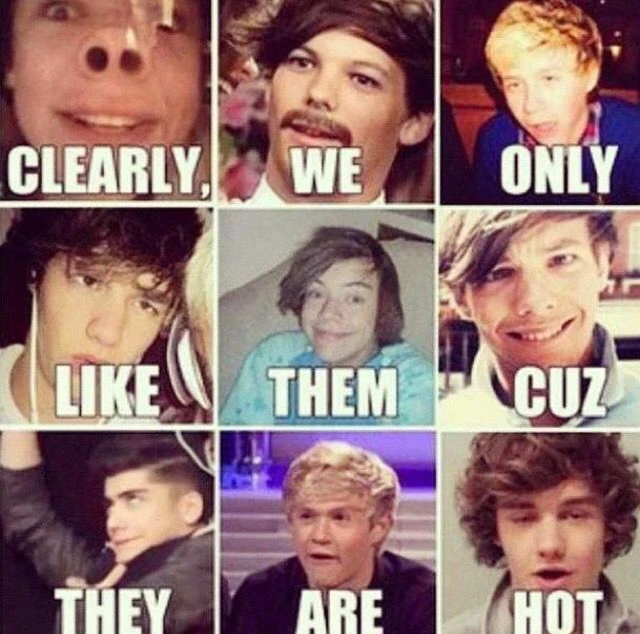 Memes | One Direction Wiki | Fandom
