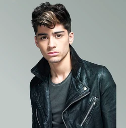 Zayn Malik | One Direction Wiki | Fandom