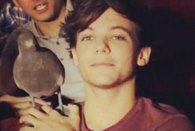 One Direction Secret Video Diary