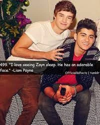 Ziam Mayne | One Direction Wiki | Fandom