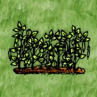 Beans - Official One Hour One Life Wiki