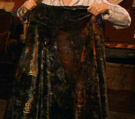 Invisibility Cloak | One Minute Ago Wiki | Fandom