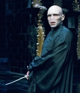 Voldemort | One Minute Ago Wiki | Fandom