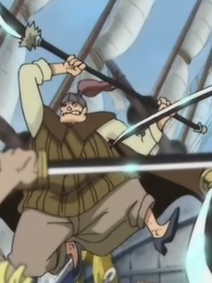 Choi | One Piece Català Wiki | Fandom