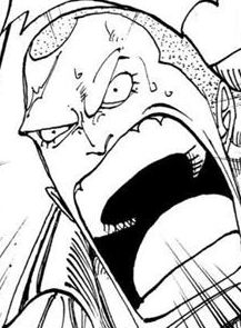 Makko | One Piece Català Wiki | Fandom