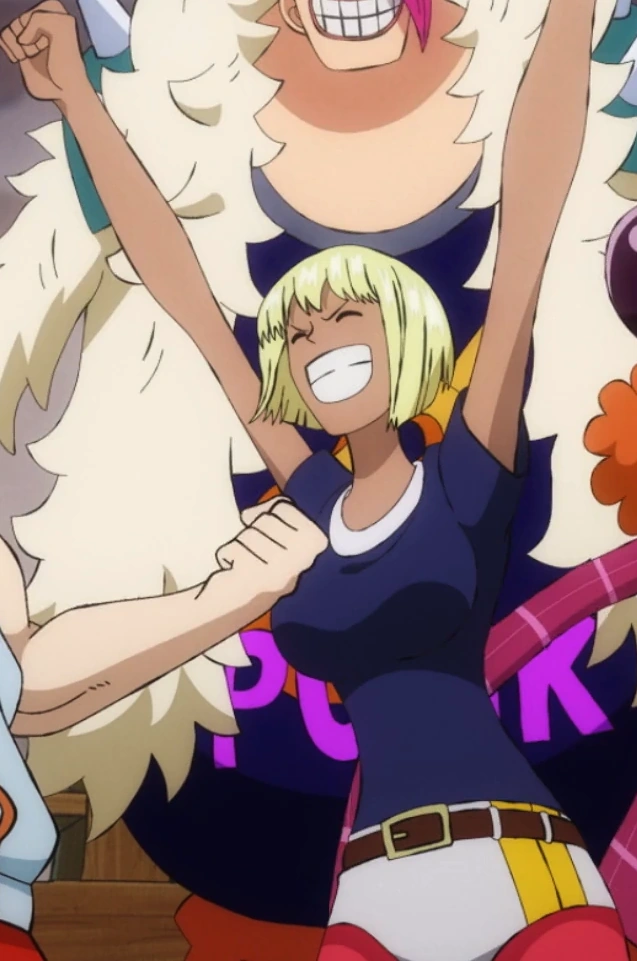 Hip | One Piece Català Wiki | Fandom