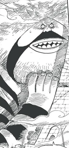 Sanjuan Wolf | One Piece Català Wiki | Fandom