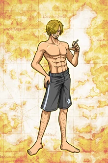 Sanji (New World) | One Piece: Thousand Storm Wiki | Fandom