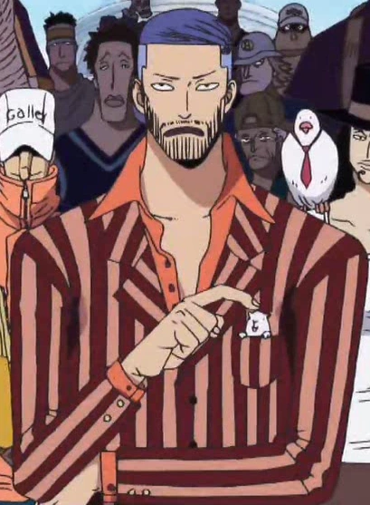 Iceberg | One Piece Wiki | Fandom