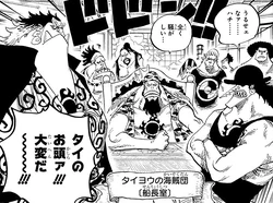 Fisher Tiger | One Piece Wiki | Fandom