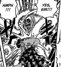 Teker Teker Meyvesi | One Piece Wiki | Fandom