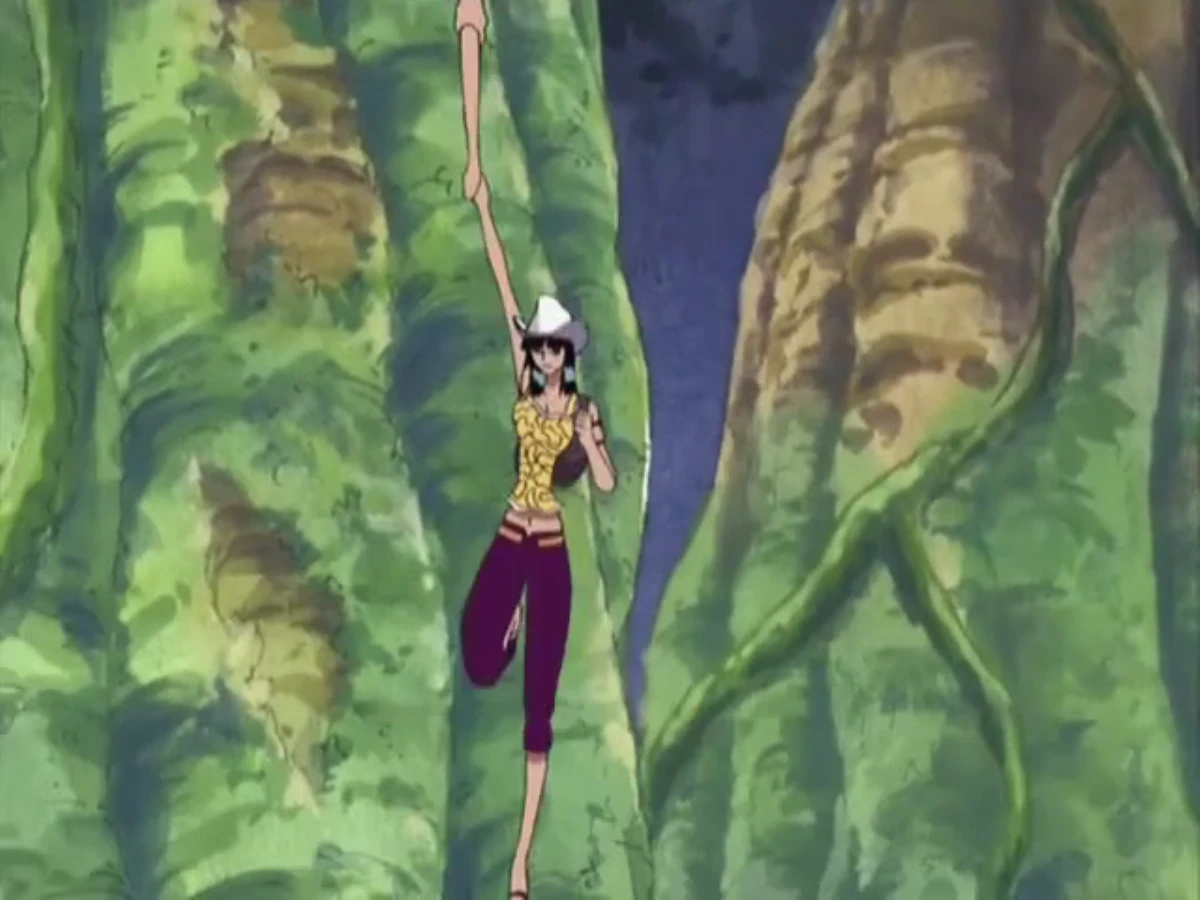 Cinco fleur | One Piece Wiki | Fandom