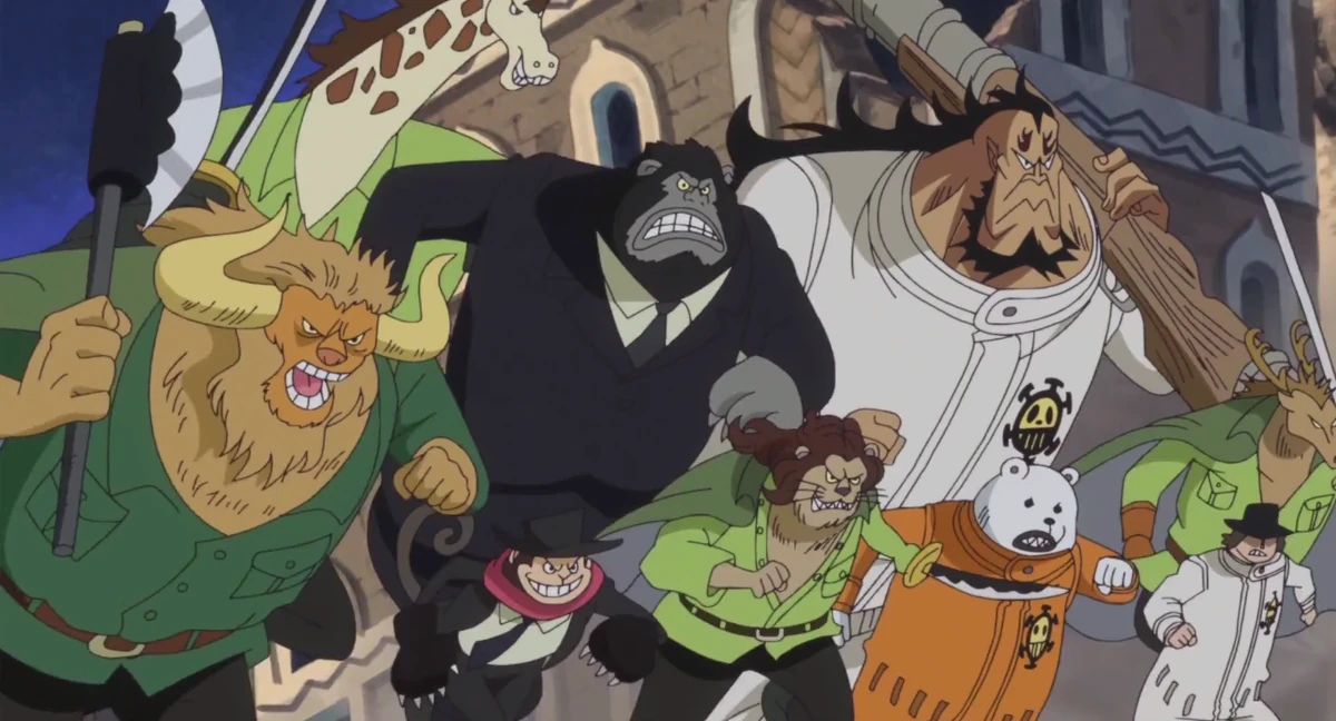 Guardiani | One Piece Wiki Italia | Fandom