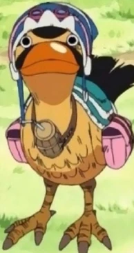 Karoo | One Piece Wiki | Fandom