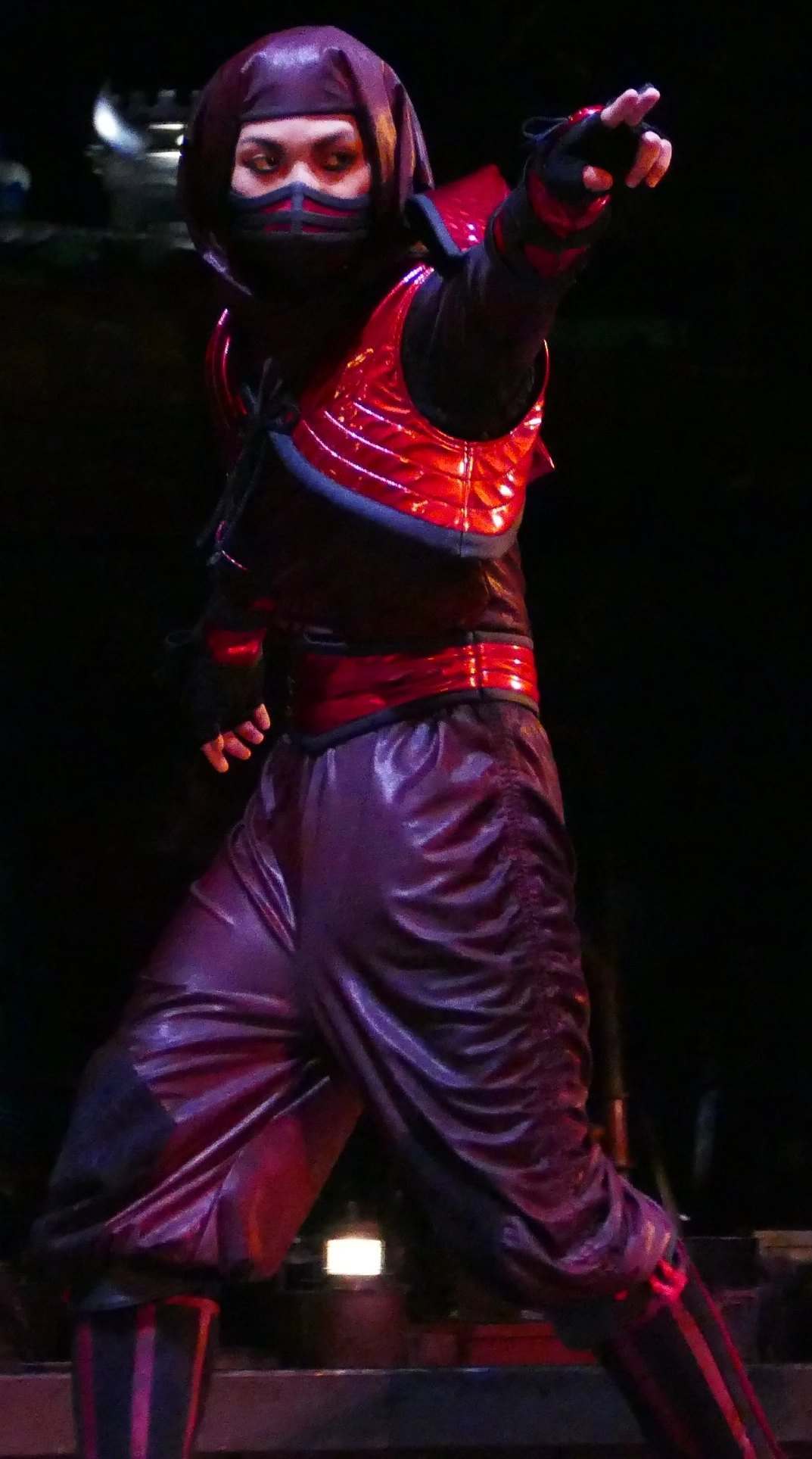 Category:Ninja | One Piece Wiki | Fandom