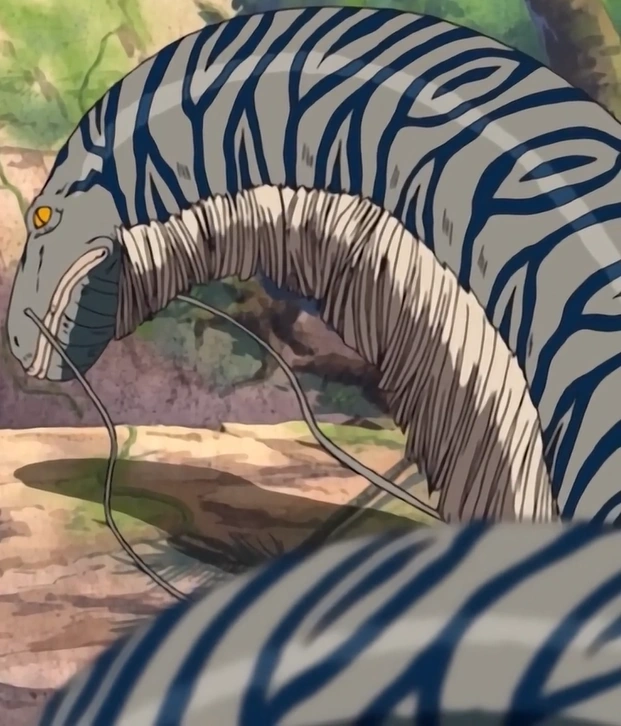 Enfant de Kashigami | One Piece Encyclopédie | Fandom