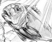 Animal Species/Other | One Piece Wiki | Fandom