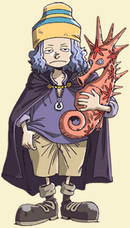 Noko | One Piece Wiki | Fandom