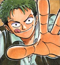 Bran | One Piece Wiki | Fandom